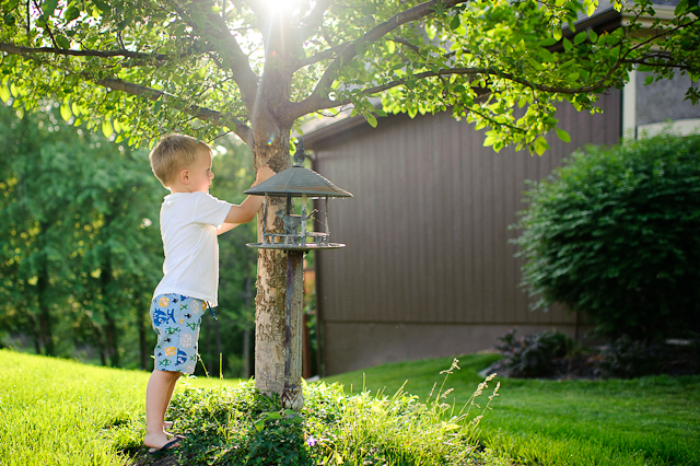 natural light lifestyle photography by Ashley Spaulding - Click ...