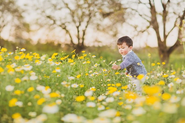 kid picking flowers in field picture - Click Community Blog: Helping ...