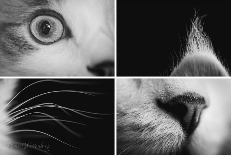 5 Steps to Producing a Powerful Photography Series